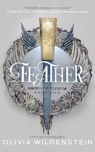 13 Books with Fallen Angels - saltandstarspress.com