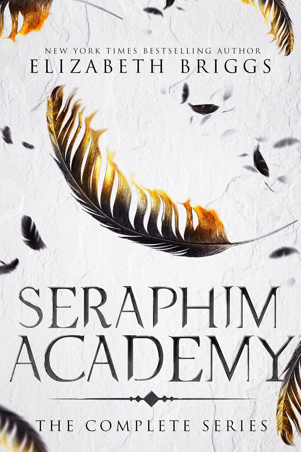 13 Books with Fallen Angels - saltandstarspress.com